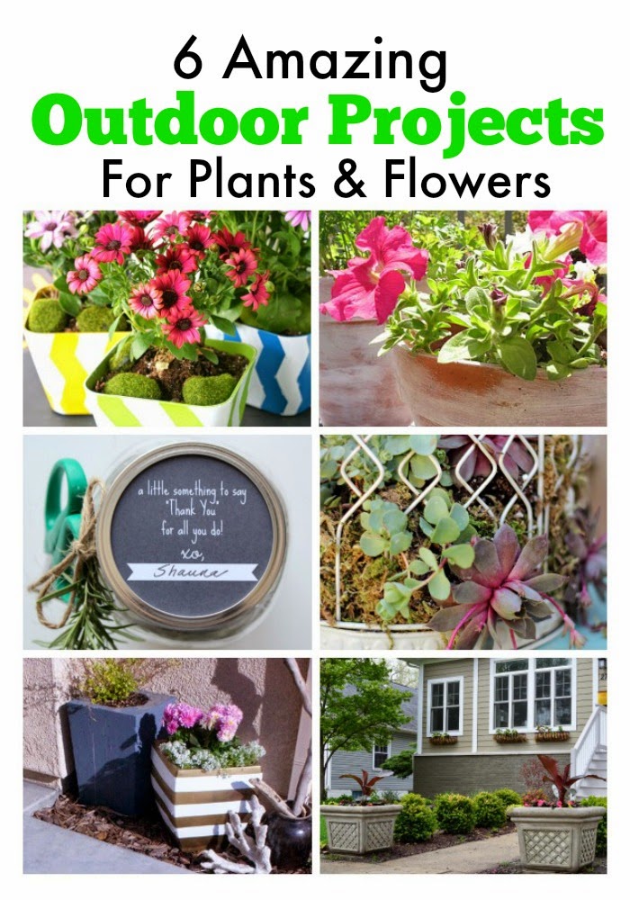 6 Amazing Flower & Plant Projects - Echoes of Laughter