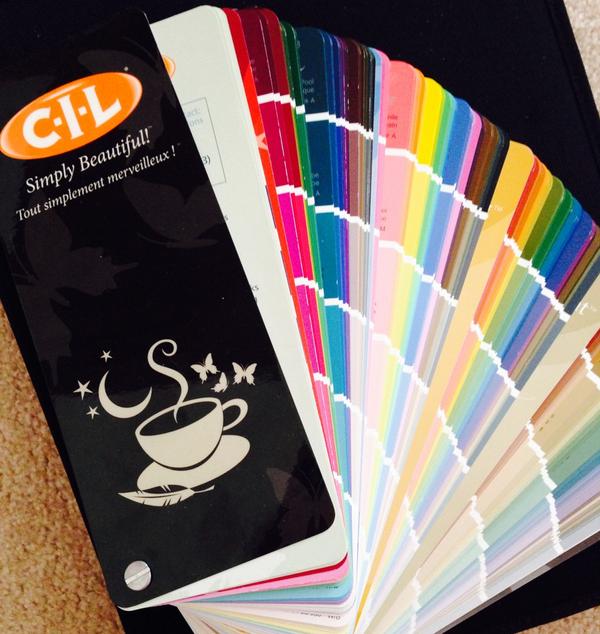 Need Help Choosing Paint Colours? Come Visit Me At The Home Depot For ...