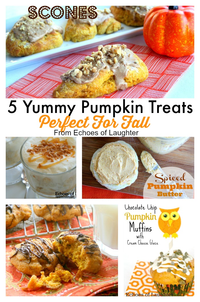 5 Yummy Pumpkin Treats Perfect For Fall - Echoes of Laughter