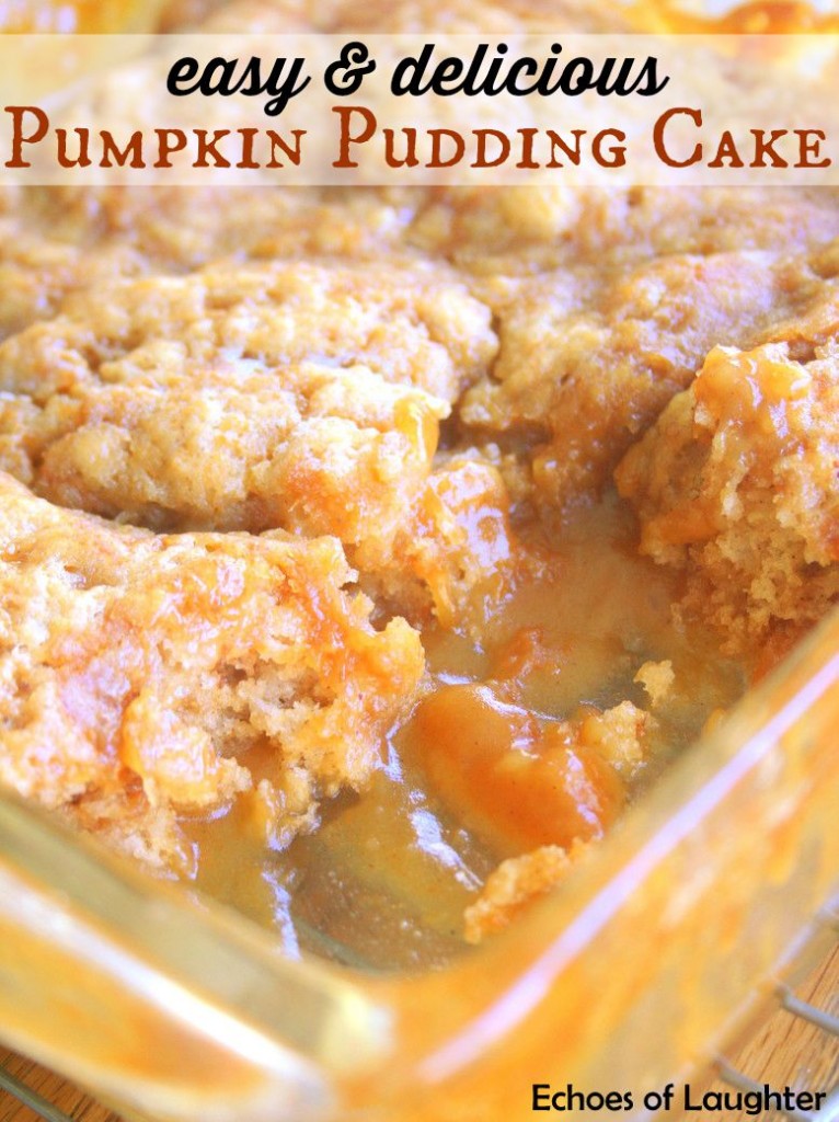 Easy & Delicious Pumpkin Pudding Cake - Echoes of Laughter